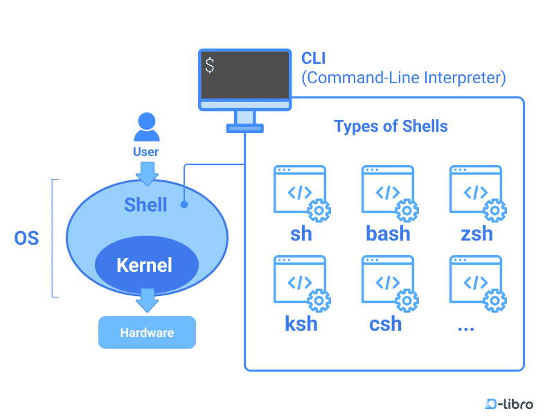 Exploring the Kernel and Shell in Linux - Topic