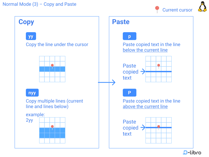 Copying and Pasting in Vim Editor Normal Mode - Topic